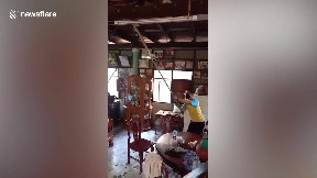 Giant python caught in ceiling of family’s home in Thailand (video ...
