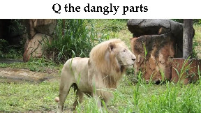 dangly parts (video) - ItemFix