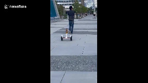 New Yorker hilariously tries to disguise his electric segway as a pet ...