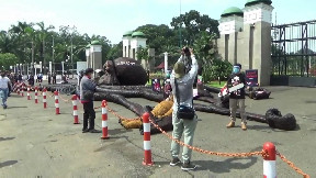 Greenpeace activists place giant octopus sculpture outside Indonesian ...