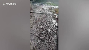 Neighbours rescue old woman from chest-deep flood during Typhoon Conson ...